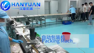 Crisp Nuts Bar Flow Packing Machine