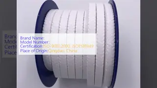 PTFE Gland Packing Valve Seal Leak Prevention