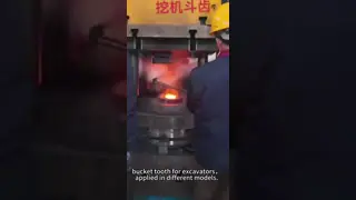 The bucket tooth