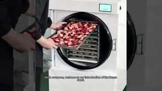 Home Freeze Dryer Preserve Food Long Term