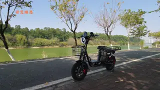 1000W Electric Bike Urban Commute Powerhouse