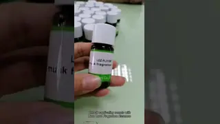 True Love Fragrance Essence for Perfume & Care