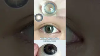 Hybrid Kitten Blue Colored Contact Lens with 40% Water Content and Base Curve 8.5 for Yearly Wear