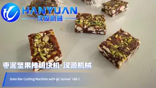 Date Bites Cutting Machine
