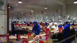 Automate Box Sealing FXJ5050 Tape Machine