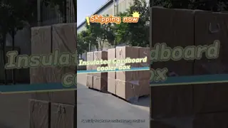 Medical Cooler Box Keep Meds Cold 24-48 Hours