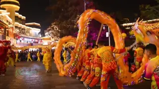 Traditional Chinese festival dragon and lion costume