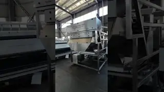 Belt-type color sorter
