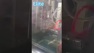Multi-Cavity Food Container Injection Mold