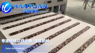 Date Bar Servo Cutting Machine