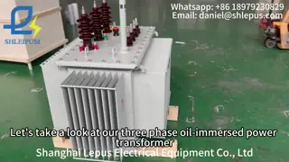 High voltage oil-immersed power transformer