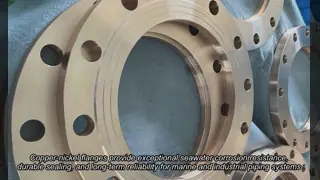 Copper-Nickel Flanges: Superior Seawater Corrosion Resistance for Reliable Marine Piping Systems.