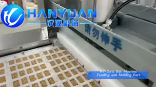 Oats Bar Machine