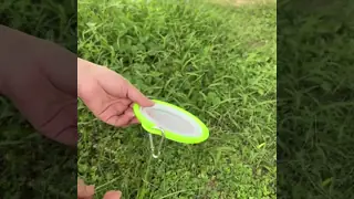 Silicone Pet Bowls