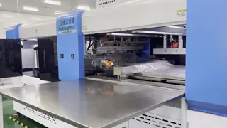 Fully Auto Empty Bottle Packing Machine