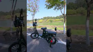 Fast 1000W E-bike Cargo Bike Urban Commute