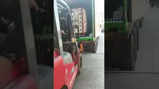 Fresh Garlic Bulk from China Farm Direct Supply White Garlic Demo