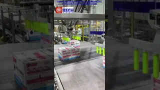 Gantry palletizer used at a customer site for a cardboard box electrolyte water
