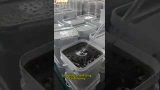 Samples of each bucket of honey are tested before shipment.