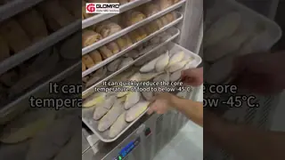Video Introduction of Rapid Freezing Cabinet Products