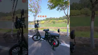 Black Warrior Ebike Powerful 1000W Cargo Bike Europe