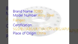 Super Duplex Flange ASTM A182 F53 SW