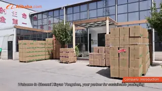 Eco Friendly Packaging Solutions For Your Business