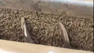 Custom Screw Conveyor for Farms