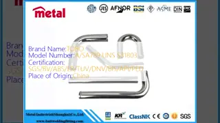 Duplex U Bent Tubes Heat Exchanger Solution