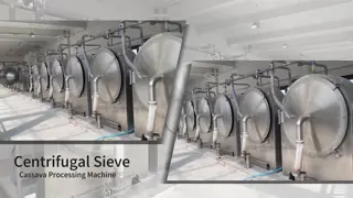 Customized Cassava Starch Processing Equipment Centrifugal Sieve for Starch Processing