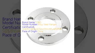 ASTM B564 N08810 Flange 600# Slip On High Strength