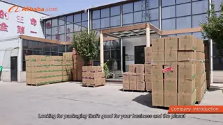 Eco Friendly Paper Bags Sustainable Packaging Solutions