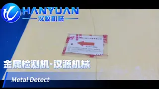 Metal Detector
