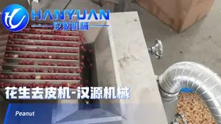 Peanut Skin Removing Machine
