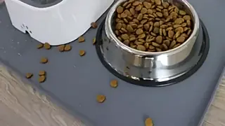 Pet Feeding Mat