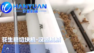 Peanut Candy Bar Servo Cutting Machine