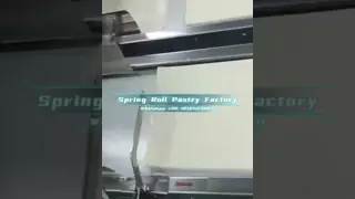 Chinese Frozen Spring Roll Wrappers Factory | EU Standard, UK Takeaways & Fast Food Adapted Showcase