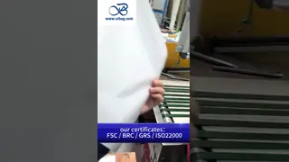 Custom Printed Glassine Waxed Paper Bags for High-End Clothing Packaging - Recyclable, Biodegradable