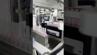 Organic Anti Wrinkle Serum OEM ODM
