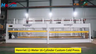 Henrriet 12 meter 16 cylinder customized cold press machine