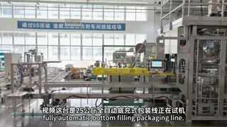 5-25kg Automatic Powder Bag Packing Machine For Agrochemical / Chemical/Fertilizer