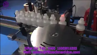 2205 M4 Rotary Automatic Self-Adhesive Labeling Machine