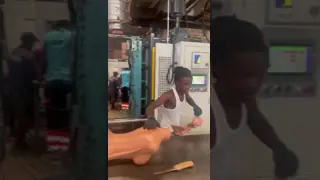 Plastic human model, plastic human figure Automatic Extrusion Blow Molding Machine for Sale