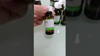 Lemon Mint Fragrance Oil Fresh Home Scent