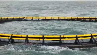Heavy Duty HDPE Fish Cage Built for Rough Open Sea