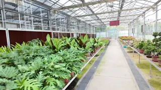 IGREEN Glass Greenhouse with Smart Control System