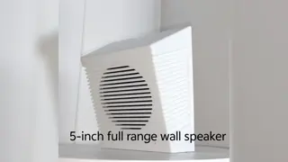 Wall Speaker Cost-effective Cheap Price
