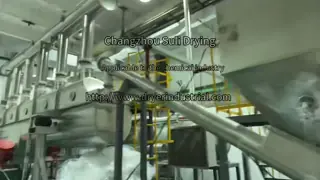 View Continuous Chemical Powder Fluid Bed Dryer For Pharmaceutical Demo