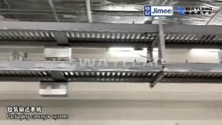 Automated Packaging Line: Bag to Pallet