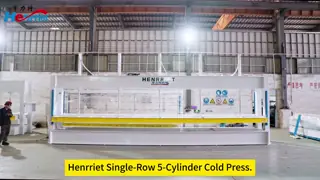 Henrriet 5 hydraulic cylinder cold press machine